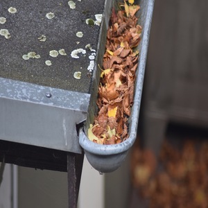 Mold in Gutters: Causes, Effects, and Prevention Tips - Aizar Rain ...